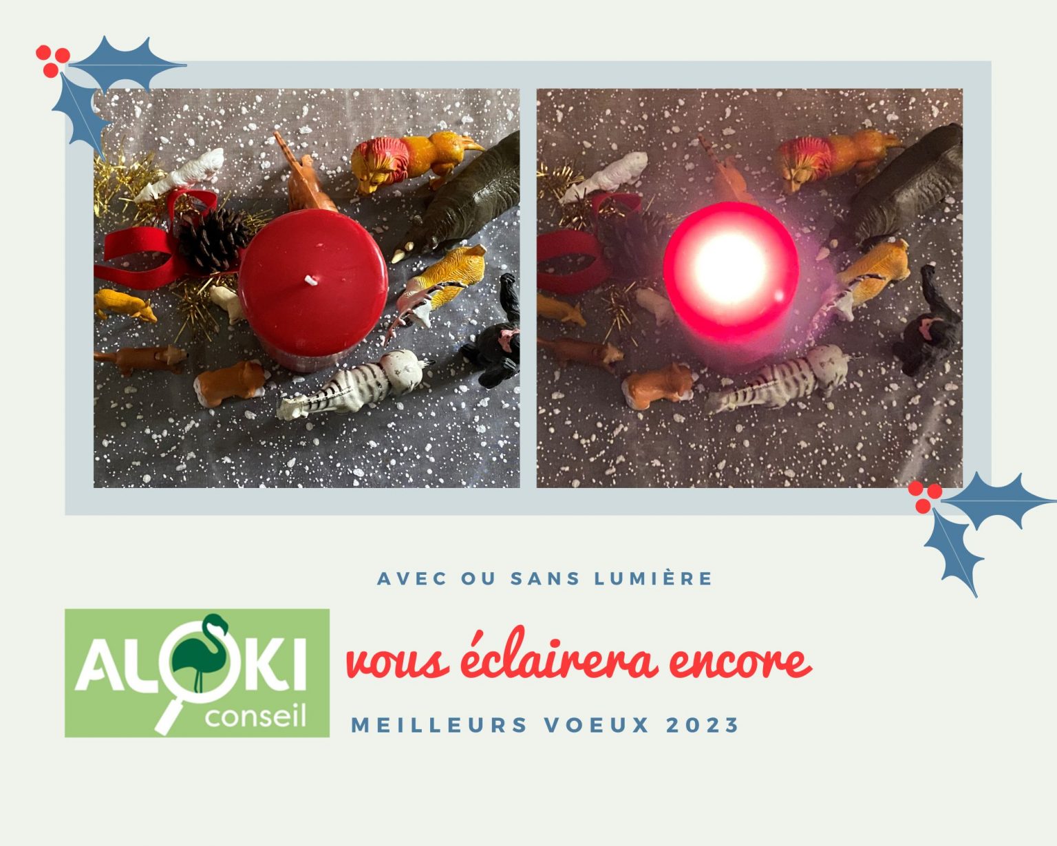 Meilleurs Voeux 2023 – Aloki conseil